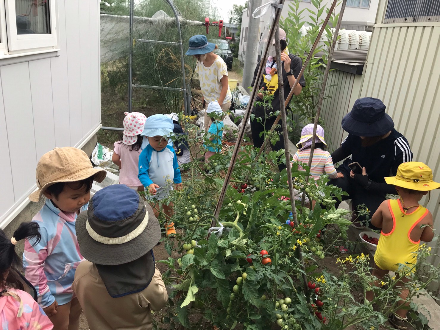 Home - TOMIOKA NINNIN DAY CARE