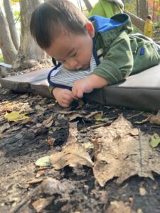 ニンニンの保育内容 - TOMIOKA NINNIN DAY CARE