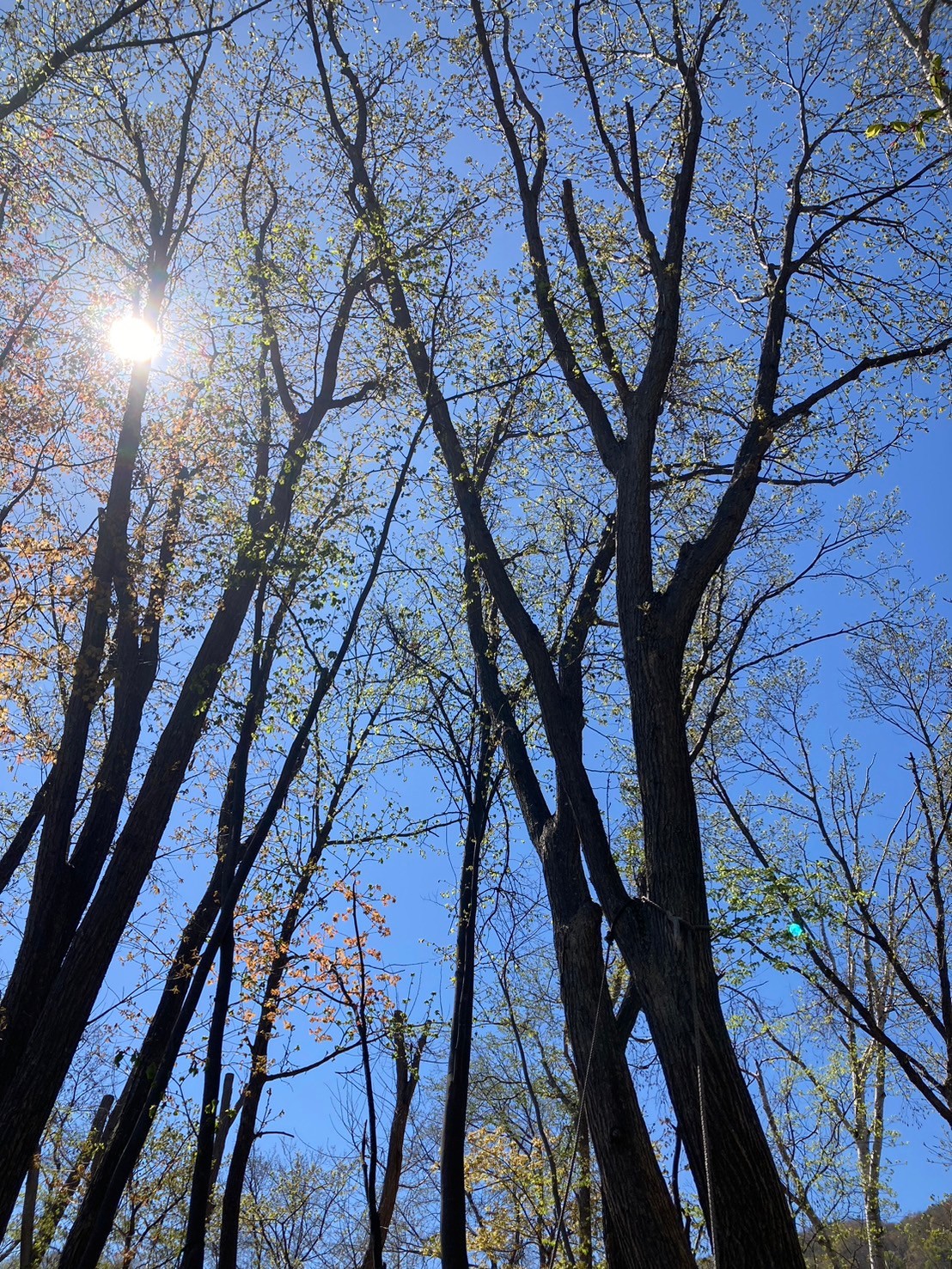 Home - TOMIOKA NINNIN DAY CARE